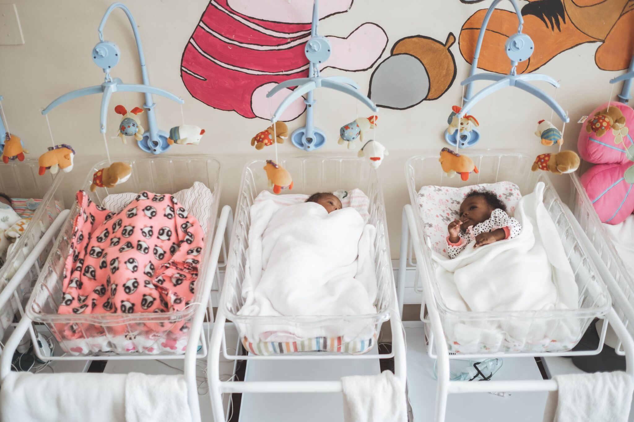 Gallery – Abba Dev Preview Site