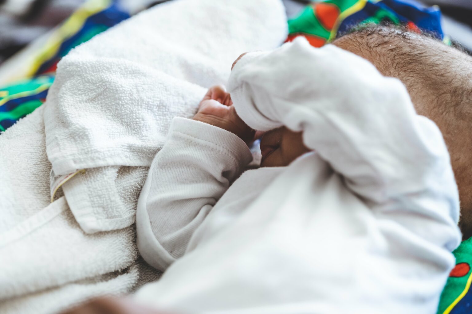 Gallery – Abba Dev Preview Site